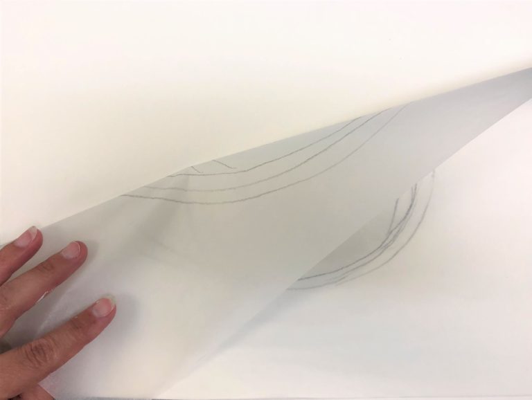 Animal Eyes Art Lesson for middle school kids - Leah Newton Art