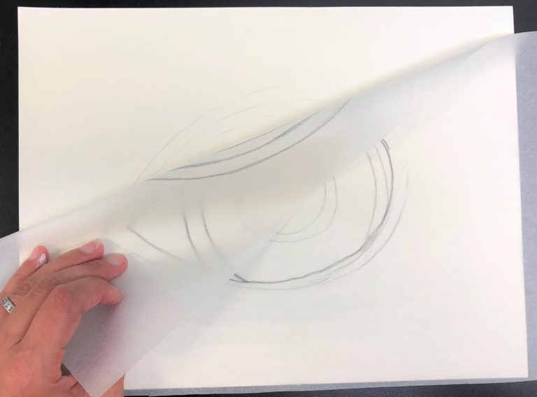 Animal Eyes Art Lesson for middle school kids - Leah Newton Art