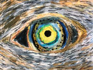 Animal Eyes Art Lesson for middle school kids - Leah Newton Art