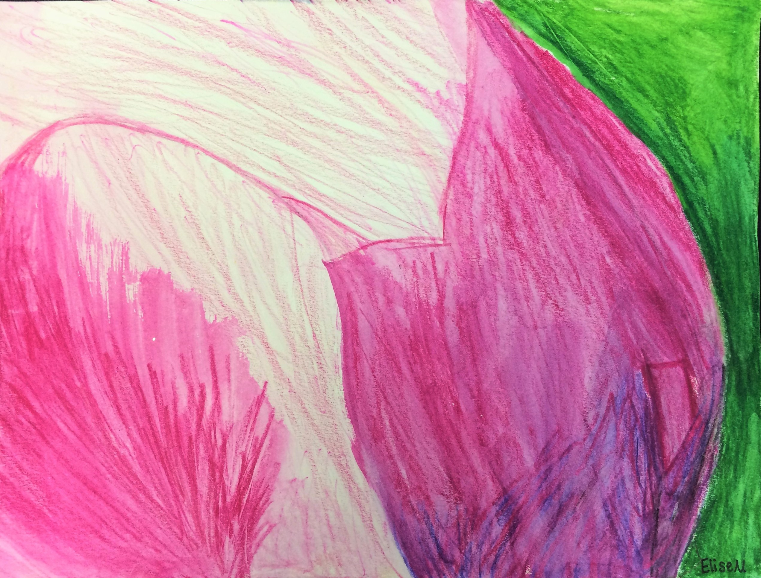 O'Keeffe Inspired Close Ups lesson for kids - Leah Newton Art