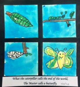 Butterfly Life Cycle Art Lesson for K-2 kids - Leah Newton Art