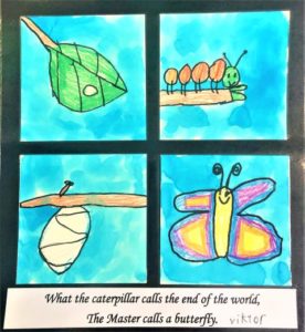 Butterfly Life Cycle Art Lesson for K-2 kids - Leah Newton Art